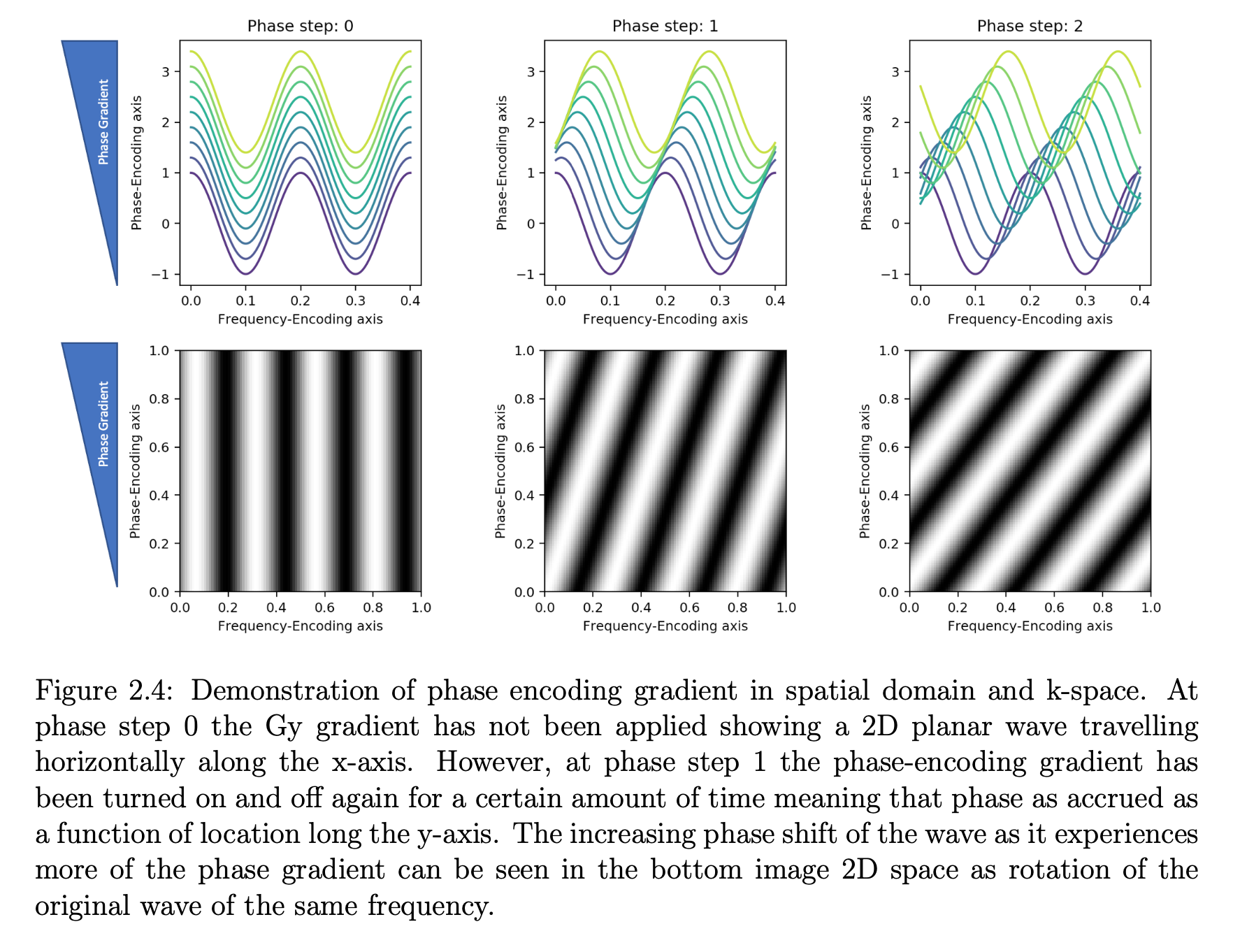Fundamental MRI Simulations – Mira M. Liu